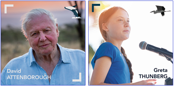 Wildlife-film .com Feature Page - David and Greta In Conversation: The ...